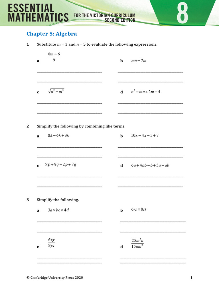 Essential Revision Worksheet - 05 | PDF | Algebra | Mathematics