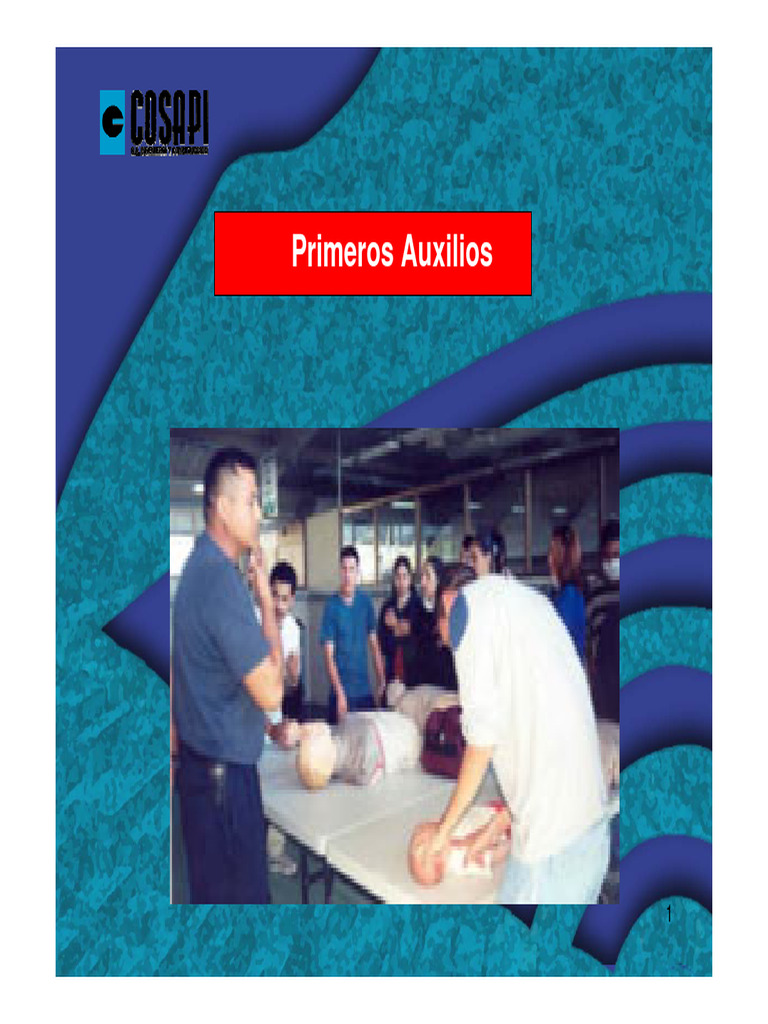 Primeros Auxilios | PDF | Reanimación cardiopulmonar | Quemar