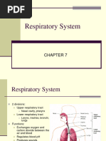 Respiratory System Study Guide | PDF | Exhalation | Respiratory Tract