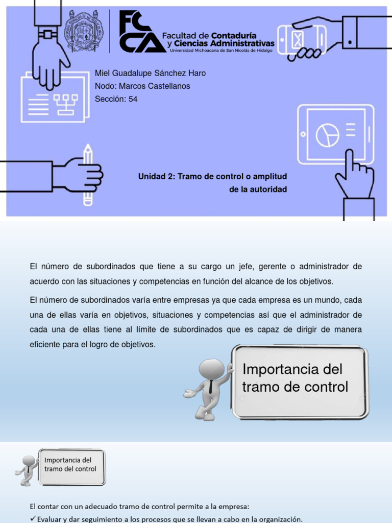 Tramo de Control en Organizaciones | PDF | Business