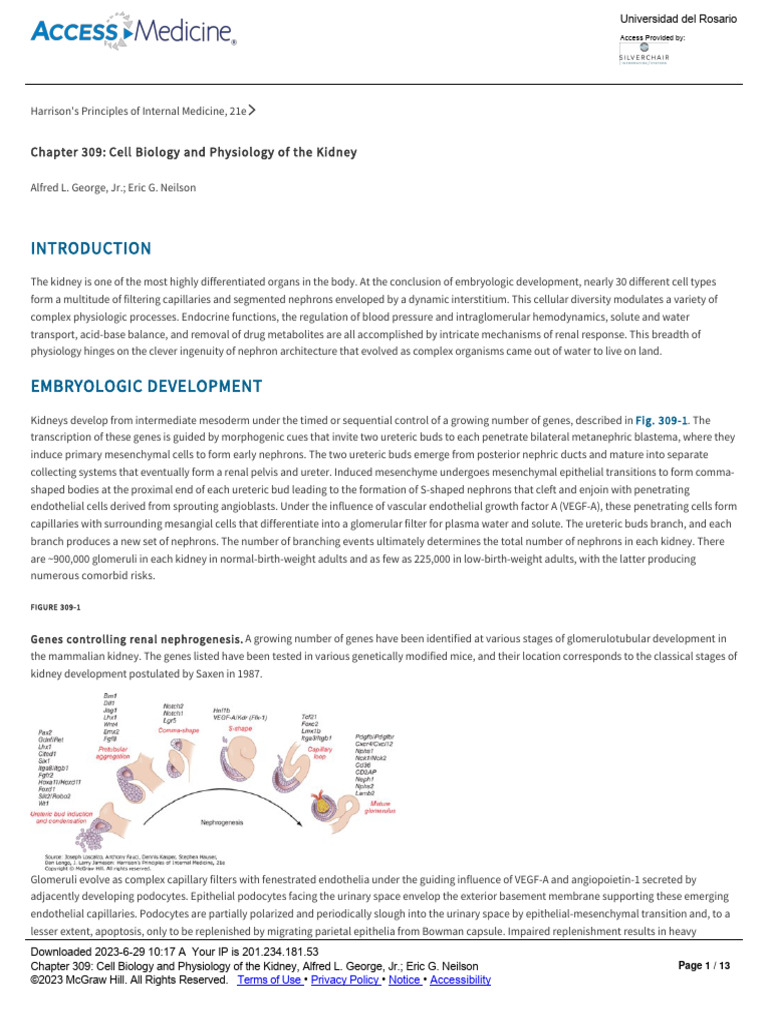 First Aid For The USMLE Step 1 2020 | PDF | Angiotensin | Urinary System
