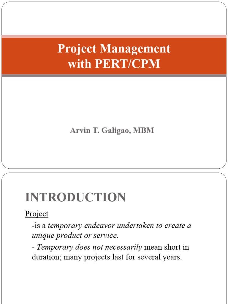 Project Management 1 | PDF