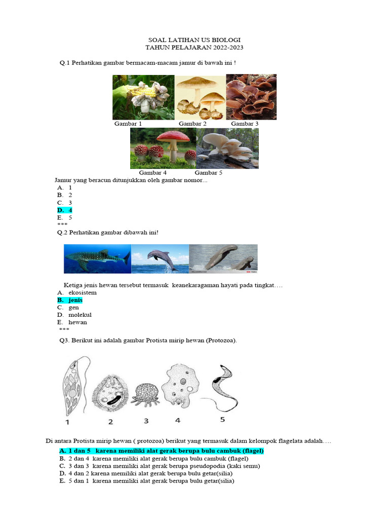 Soal Latihan Biologi Siswa SMA | PDF | Sains & Matematika | Teknologi & Rekayasa