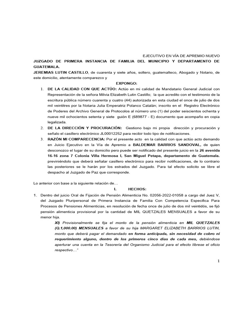 Ejecutivo Baldemar 12122023 | PDF | Pensión alimenticia | Sentencia (ley)