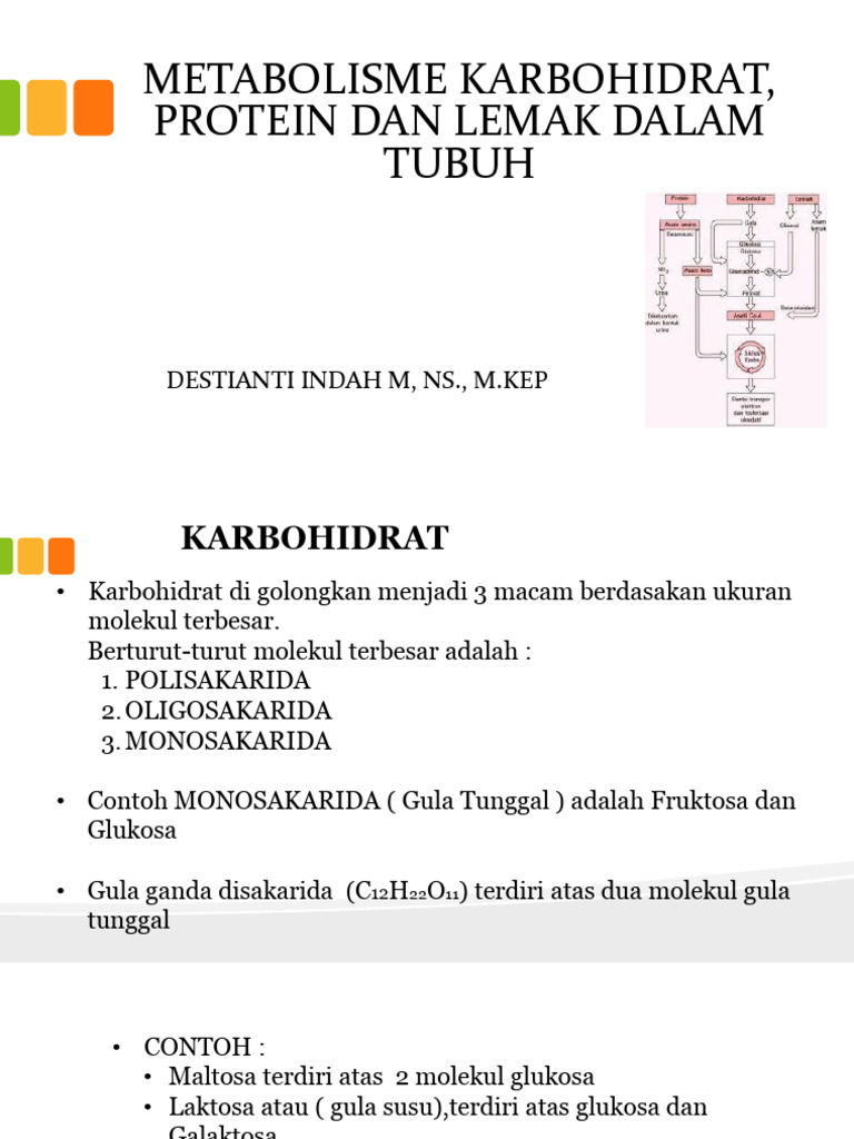 Metabolisme Karbohidrat, Protein Dan Lemak | PDF | Sains & Matematika