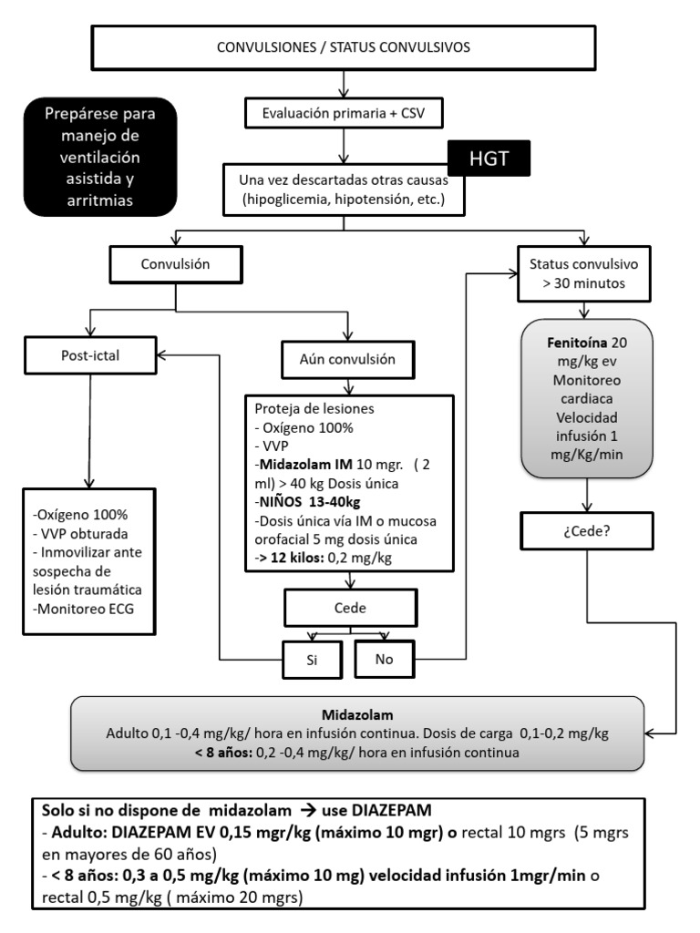 Manejo de Convulsiones y Status Epiléptico | PDF | Emergencias Médicas ...