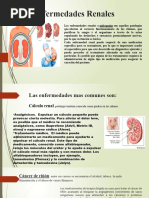 Fármacos Nefrotóxicos y su Manejo | PDF | Tratamientos médicos | Medicina