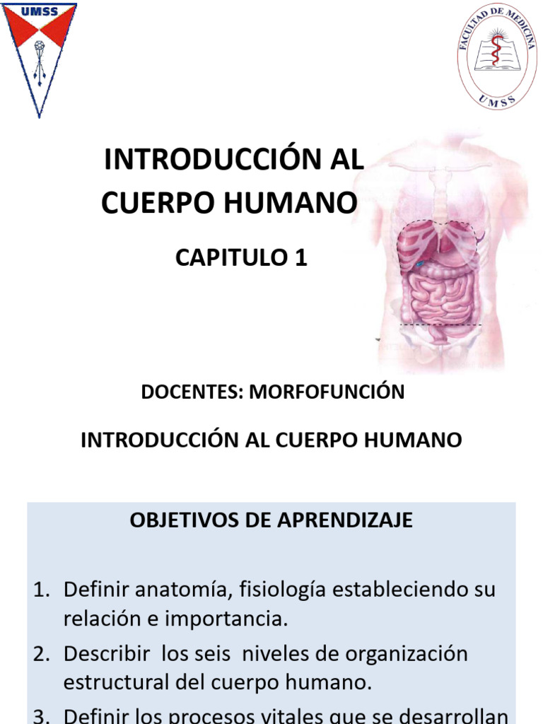 Introduccion Al Cuerpo Humano | PDF | Homeostasis | Fisiología