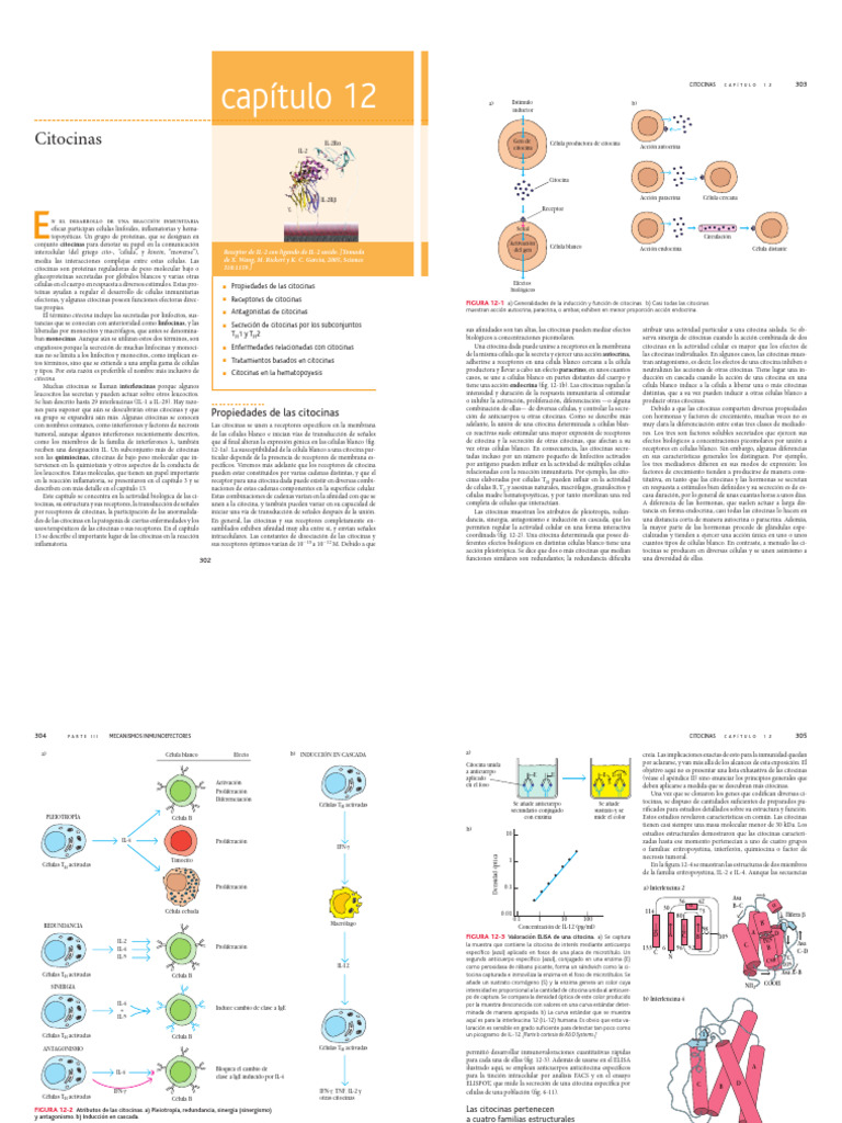 Capítulo 12. Citocinas | PDF | Citocina | Sistema inmune