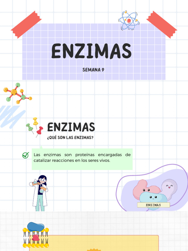 Semana 9 Enzimas (1) | PDF | Enzima | Sustrato (Química)