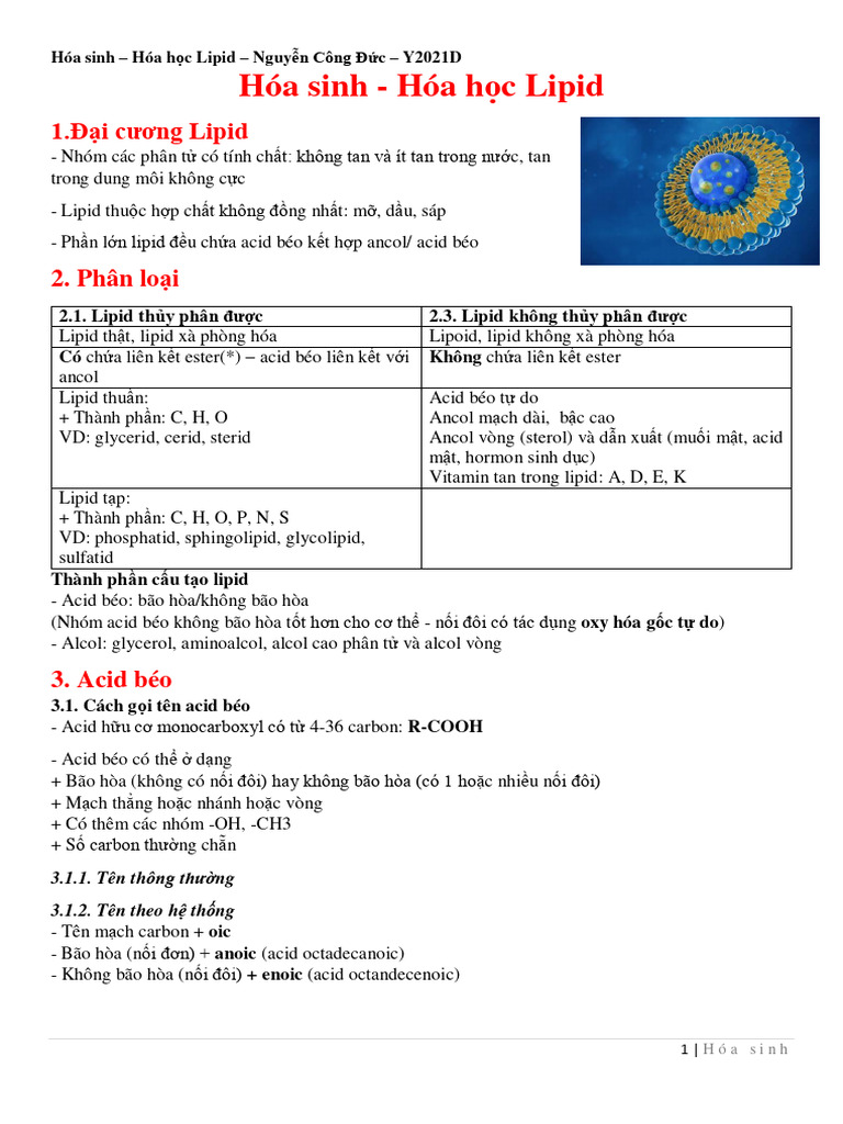 HOASINH - HÓA HỌC LIPID | PDF