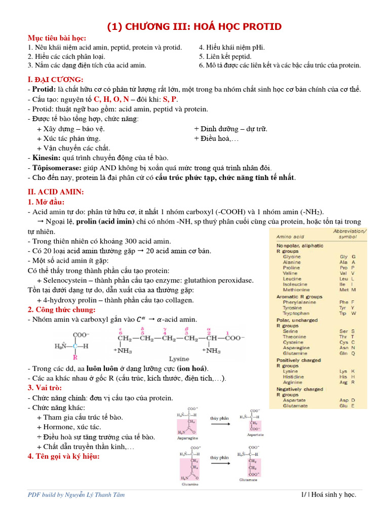 Hoá Sinh BN1 Protid | PDF