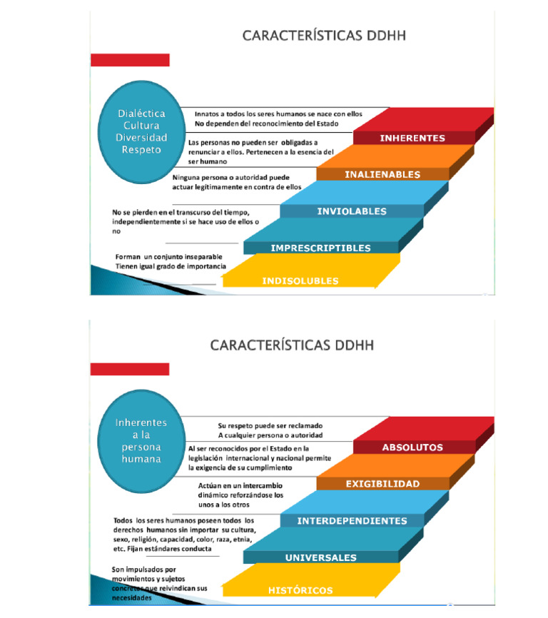 Características de Los DDHH | PDF