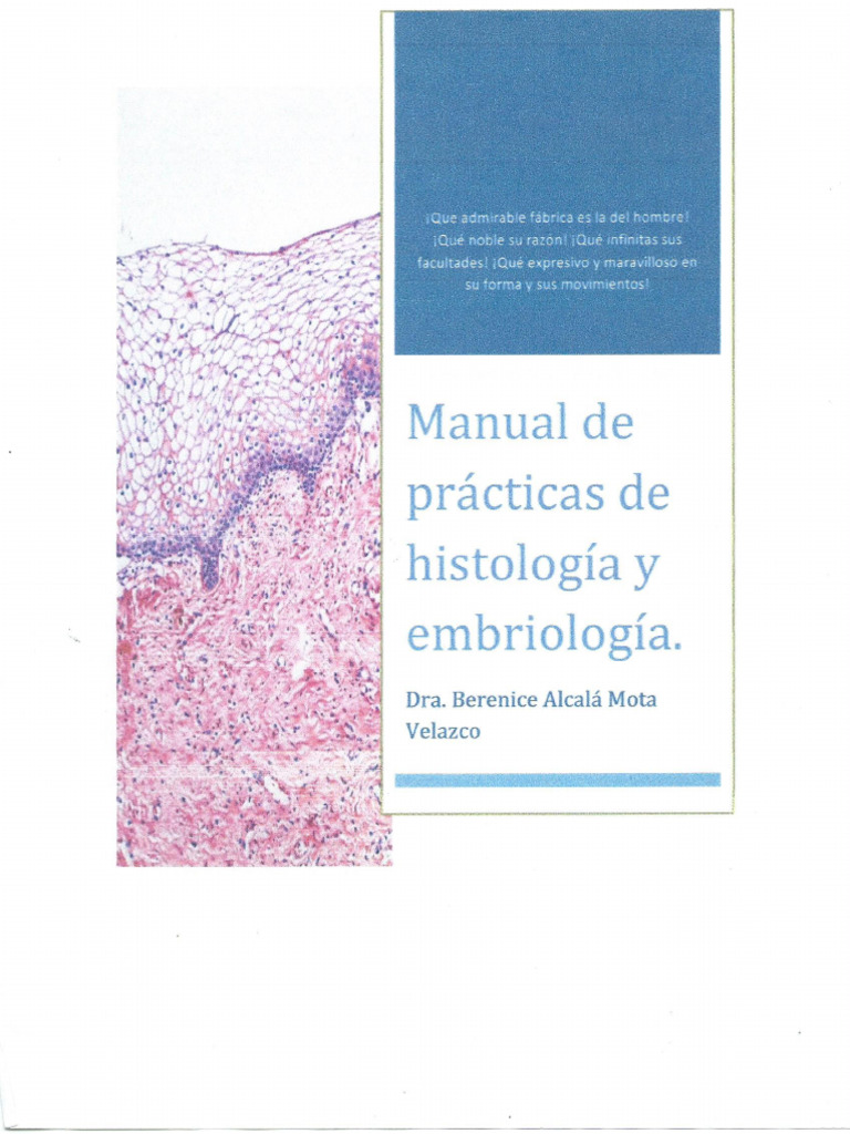 Manual De Histología Pdf