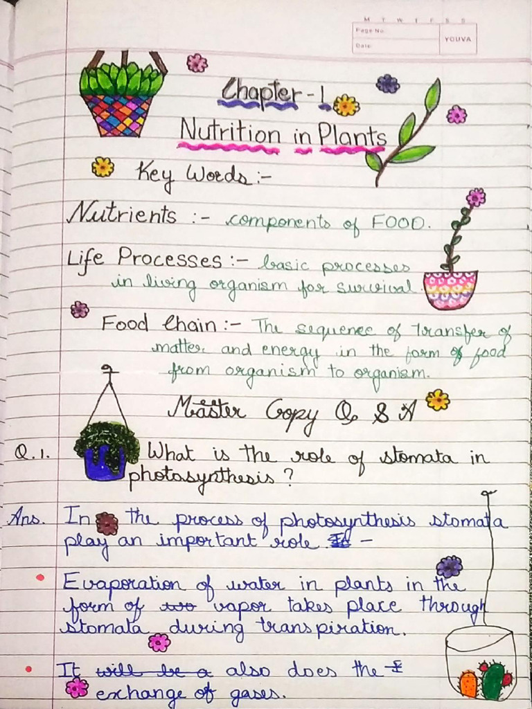 Biology Chapter 1 | PDF