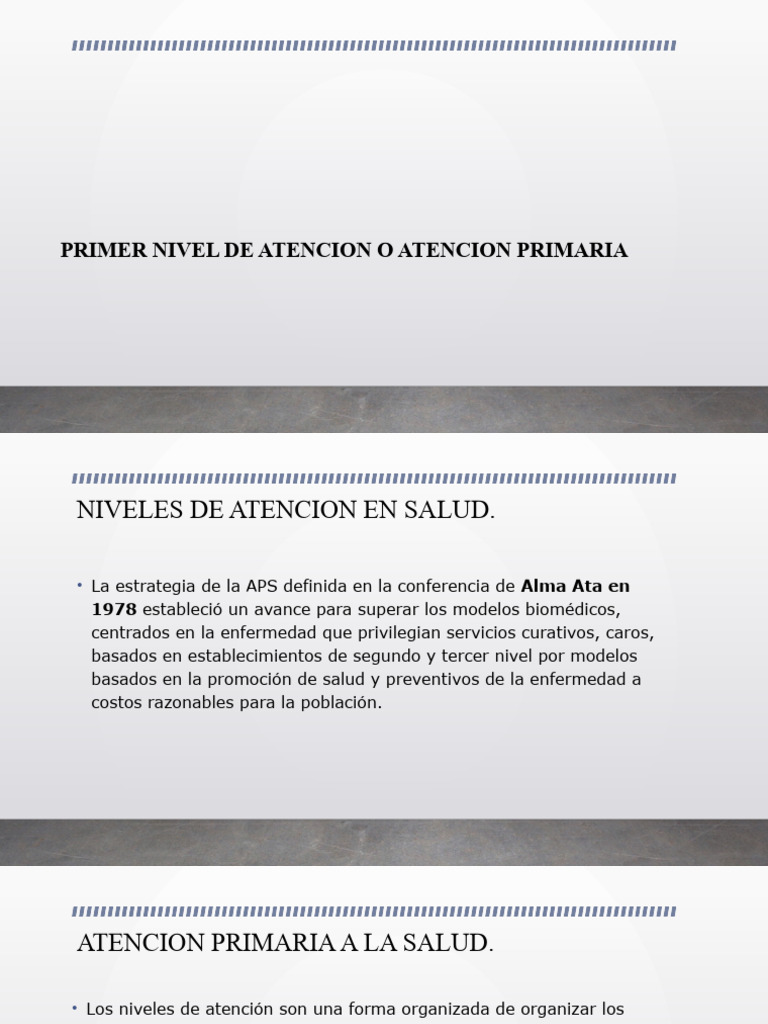 Primer Nivel de Atencion | PDF | Hospital | Cuidado de la salud