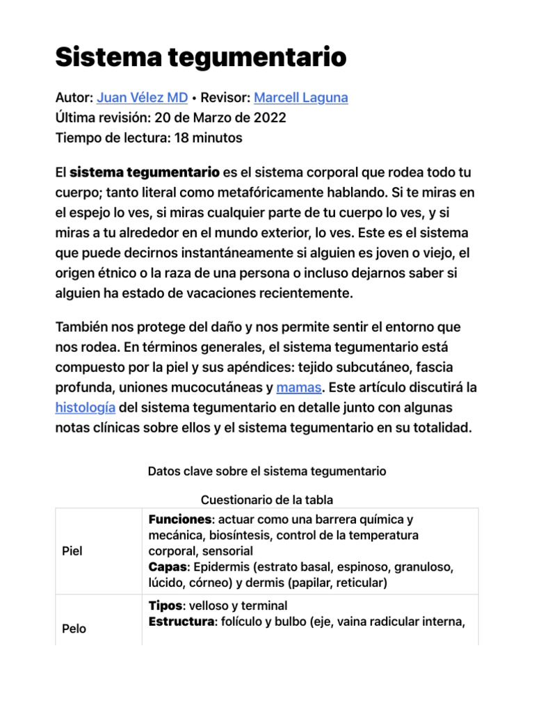 Sistema Tegumentario - Definición, Diagrama y Función - Kenhub | PDF | Sistema tegumentario | Piel