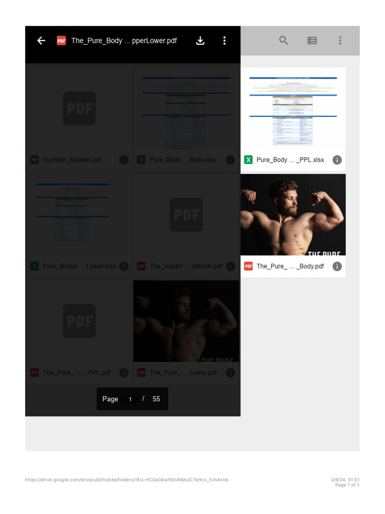 Jeff Nippard Pure Bodybuilding Program - Google Drive 2 | PDF | Career & Growth | Computers