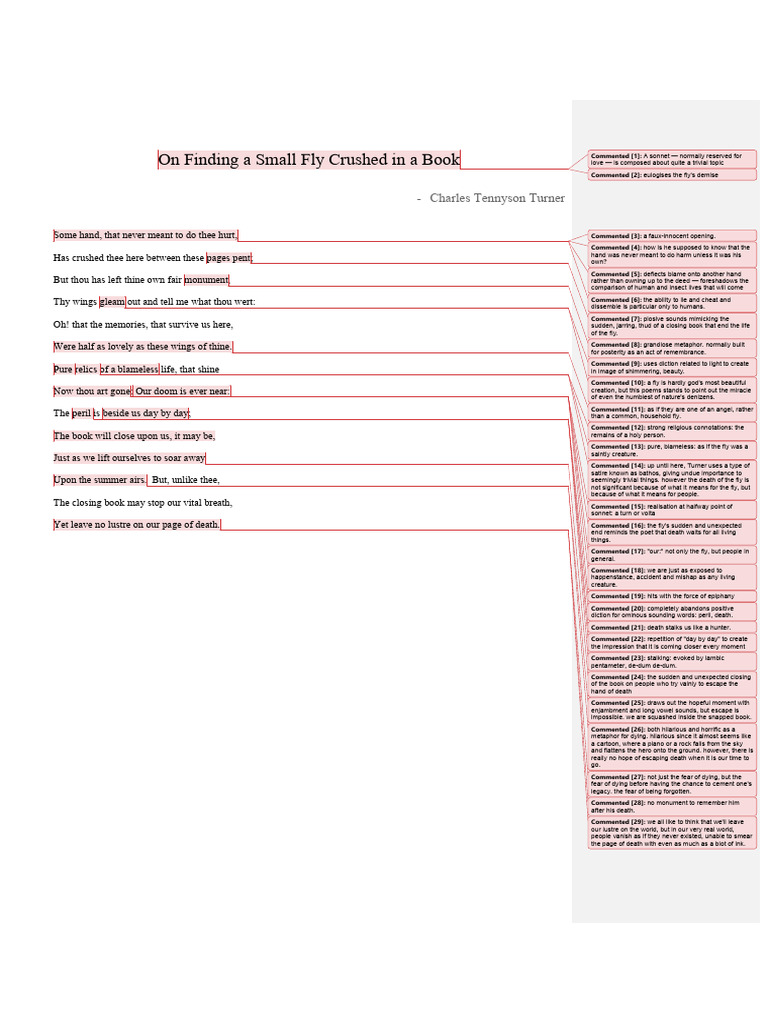 On Finding A Small Fly Crushed in A Book | Download Free PDF | Rhetoric ...