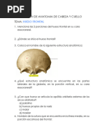 1 Region Superciliar | PDF | Cráneo | Anatomía humana