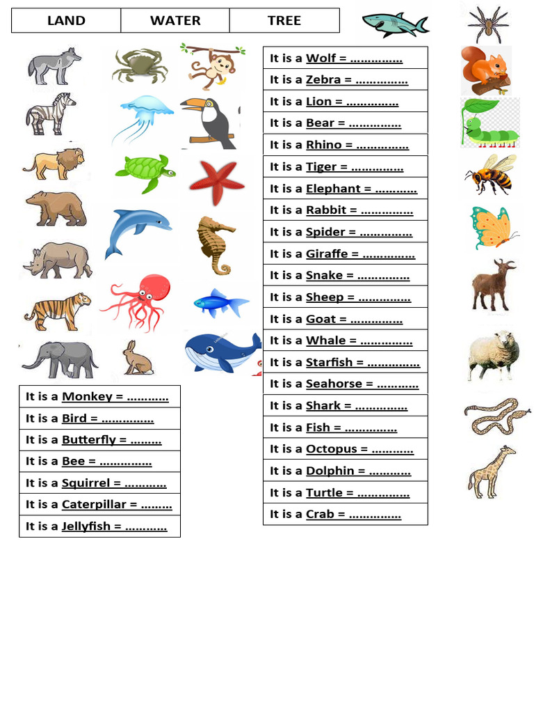 Animals Worksheet | PDF