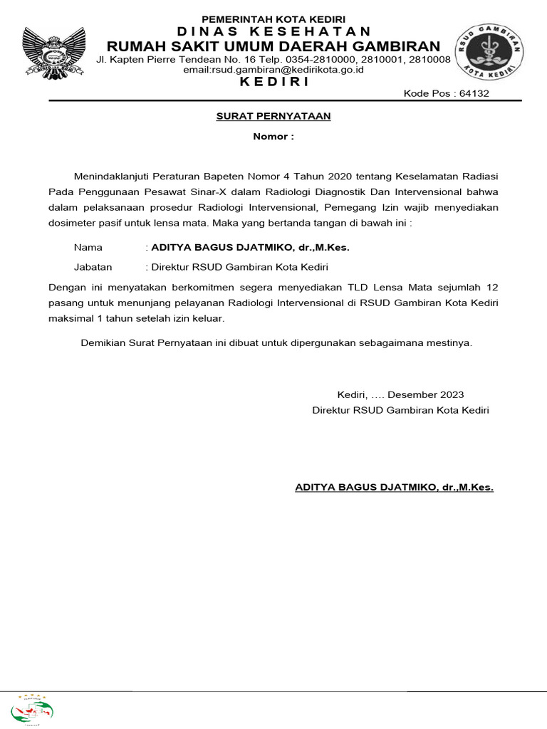 Surat Pernyataan Kesanggupan Penyediaan TLD Lensa Mata | PDF