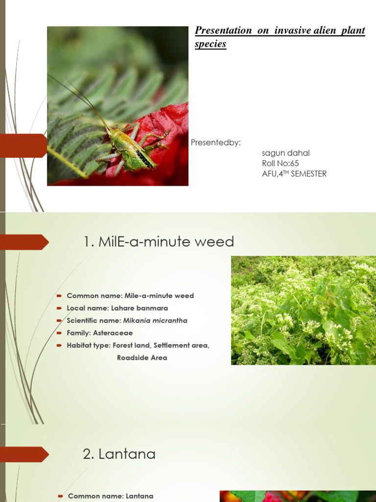 Invasive Species Popular | PDF | Botany | Organisms