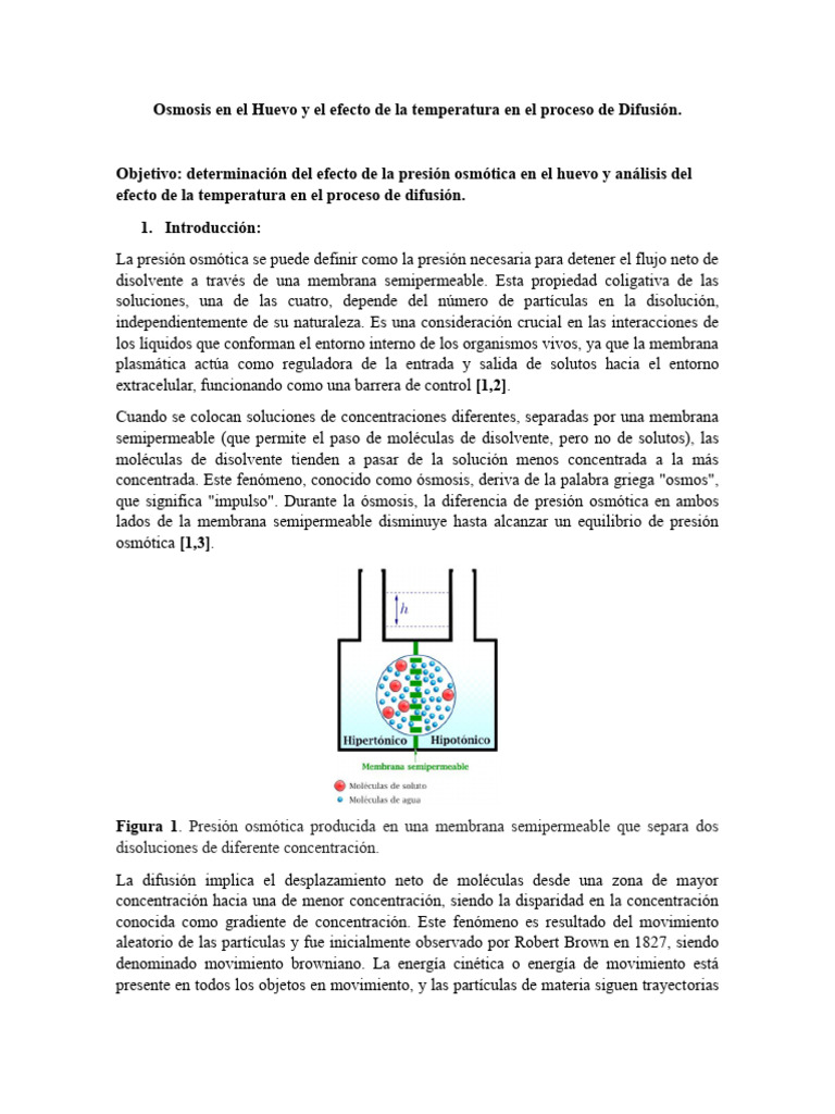Efecto de la Osmosis y Difusión en Huevos | PDF | Ósmosis | Difusión