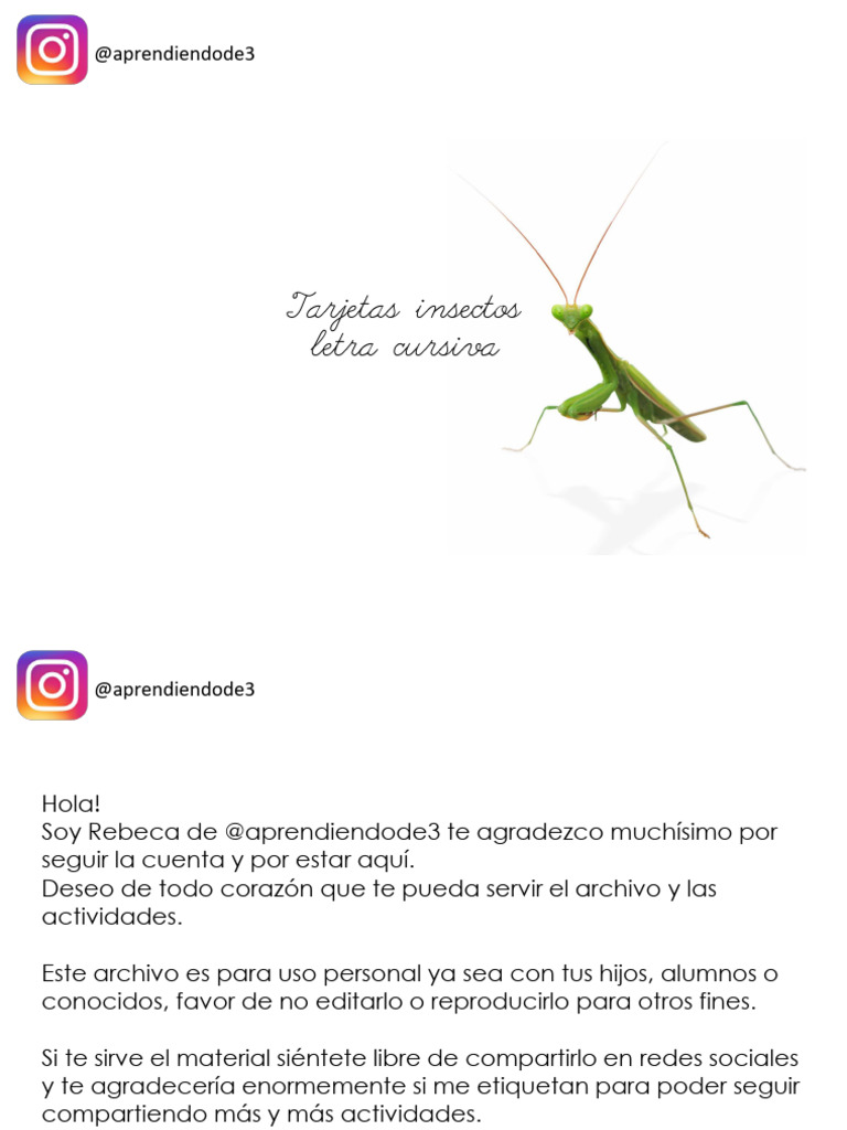 Tarjetas de Insectos - Aprendiendode3 | PDF | Artes del Lenguaje y ...