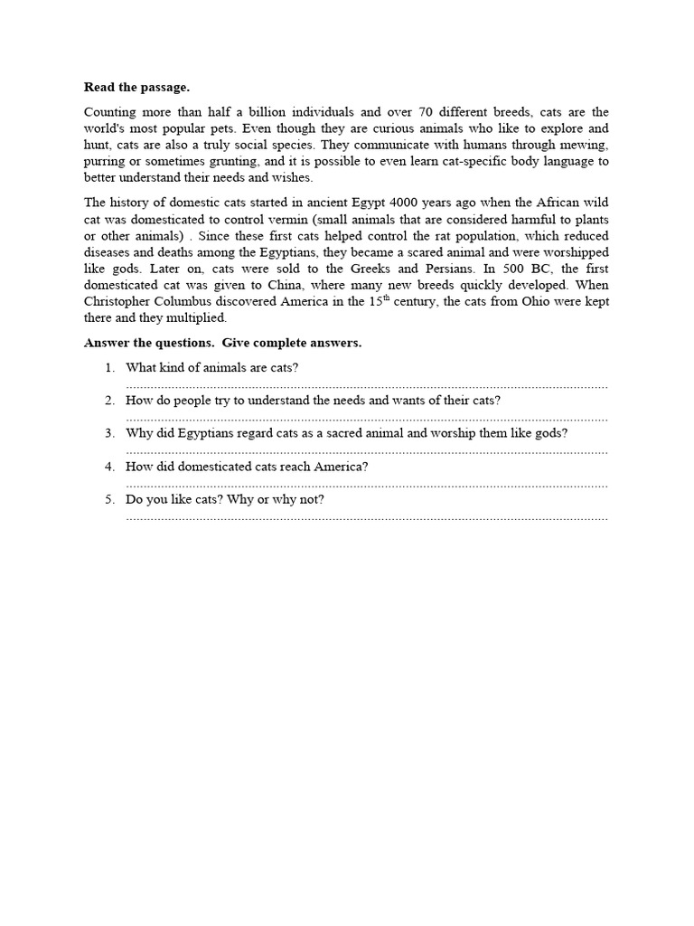 Reading Comprehension, G-11 | PDF | Young Adult