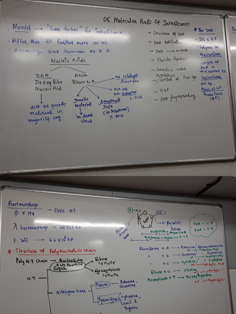 Bio CH 5 Board Photos | PDF