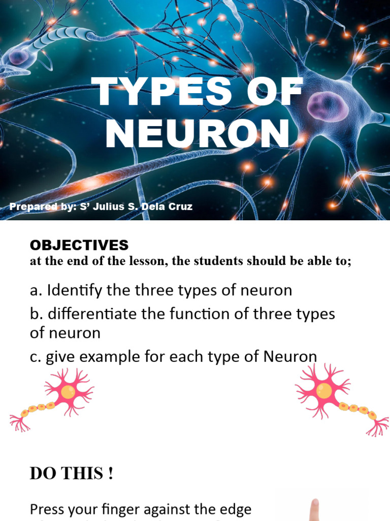 TYPES OF NEURON Grade 10 Luke | PDF | Motor Neuron | Nervous System