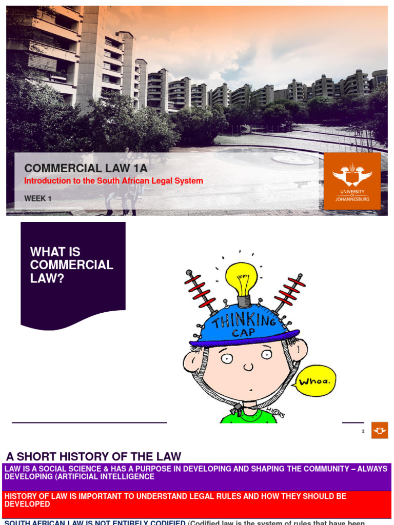 Lecture 1 - Introduction To The SA Legal System | PDF | Precedent ...