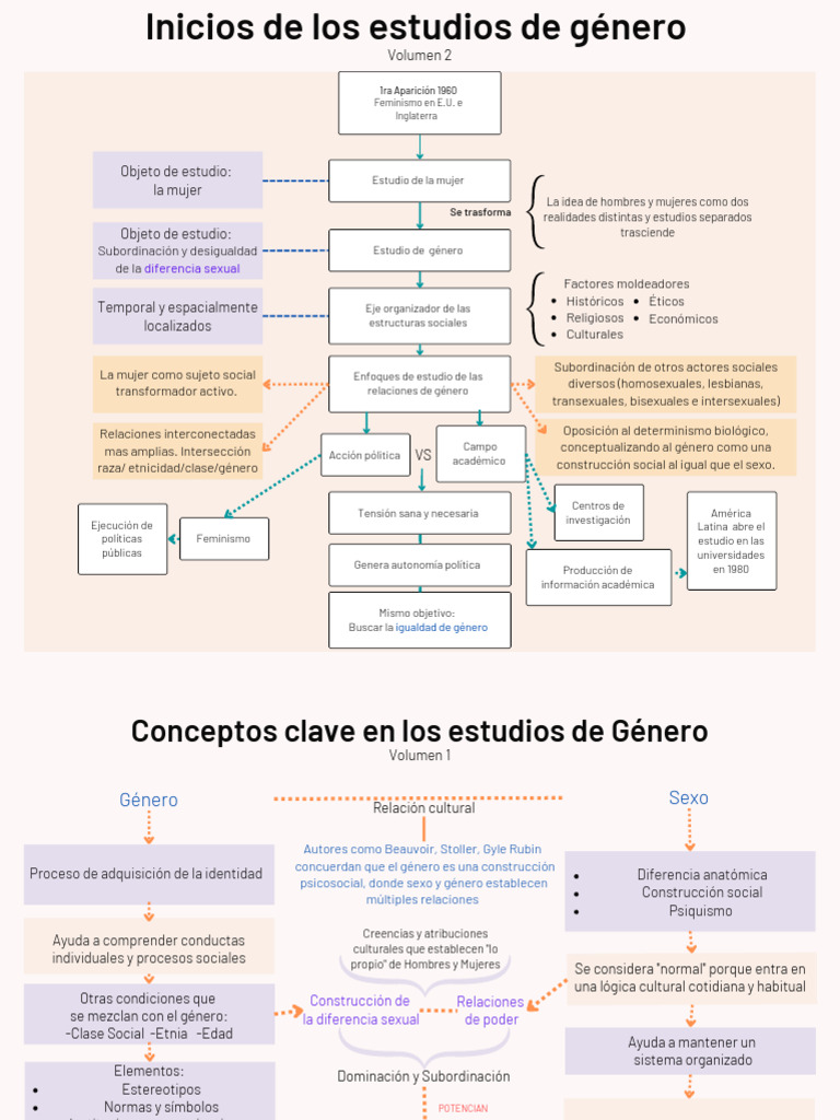 Conceptos Clave en Los Estudios de Género | PDF | Género | Estudios de ...