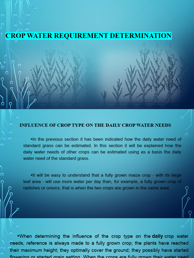 Crop Water Requirement Determination | PDF | Crops | Maize