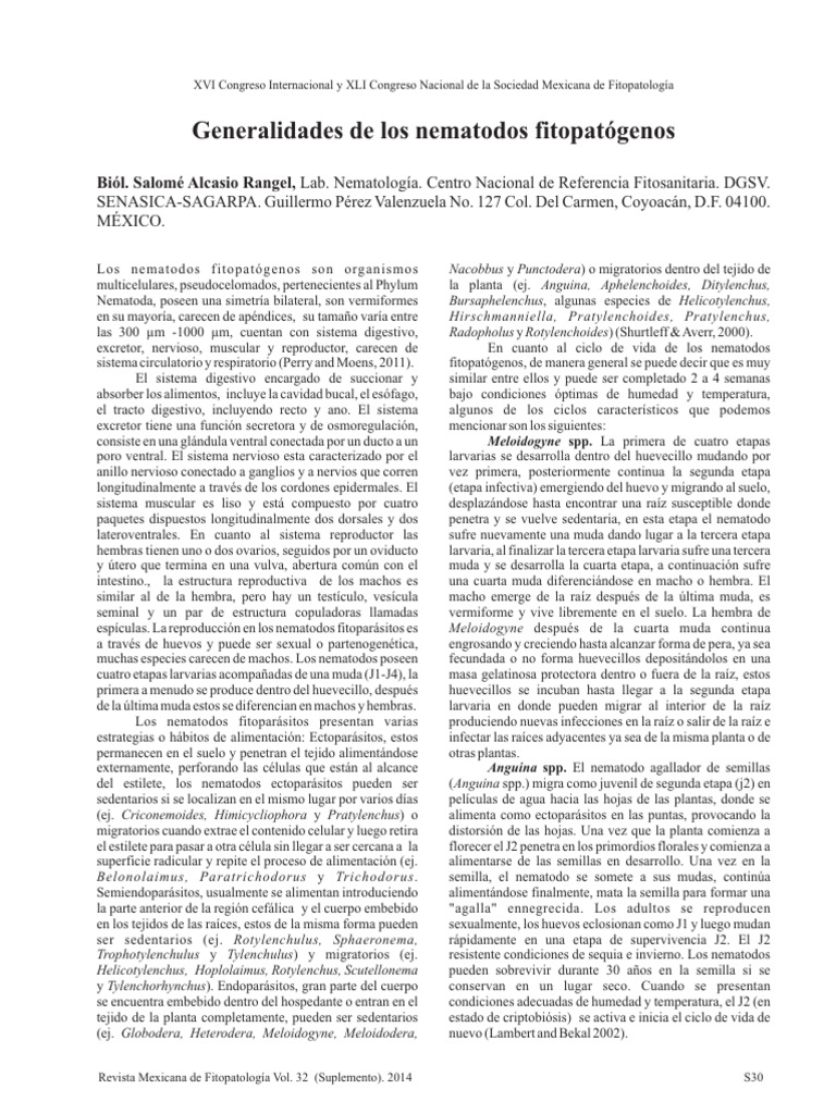 Taller Nematodos Alcasiorangel | PDF | Nematodo | Sistema reproductivo