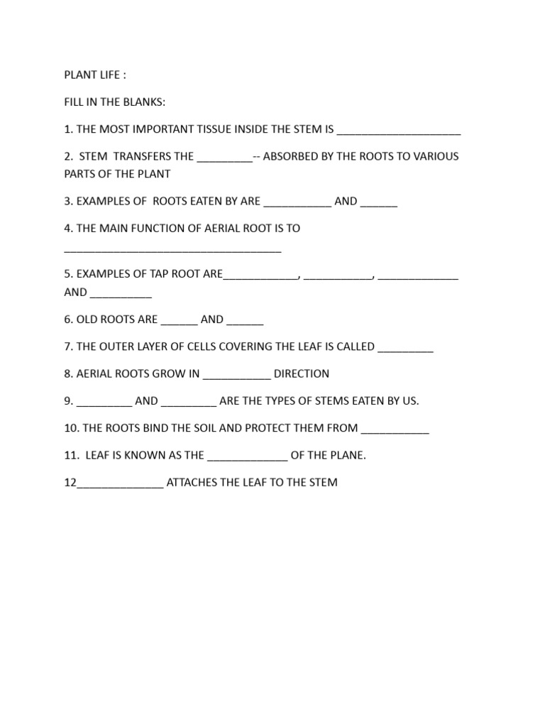 Plant Life Class 4 | PDF