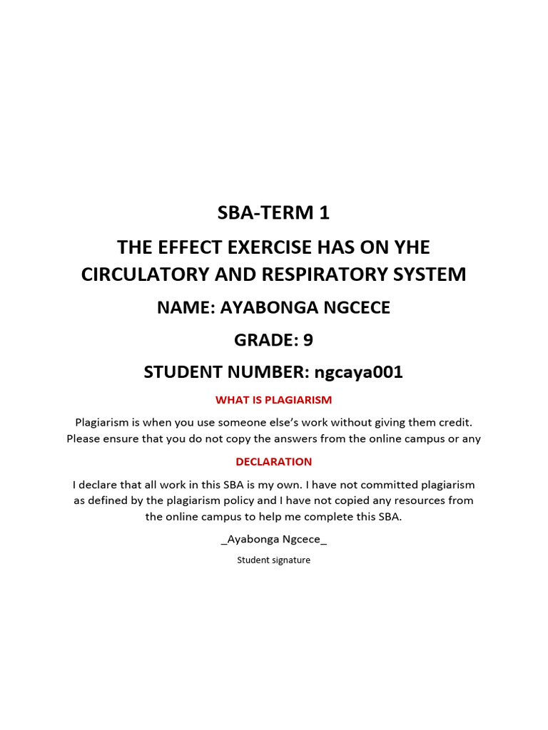 Sba Term 1 The Effect Exercise Has On Yhe Circulatory And Respiratory