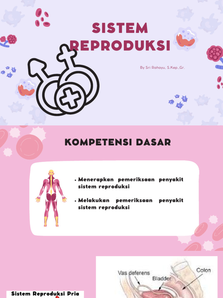 Sistem Reproduksi | PDF | Kesehatan Holistik