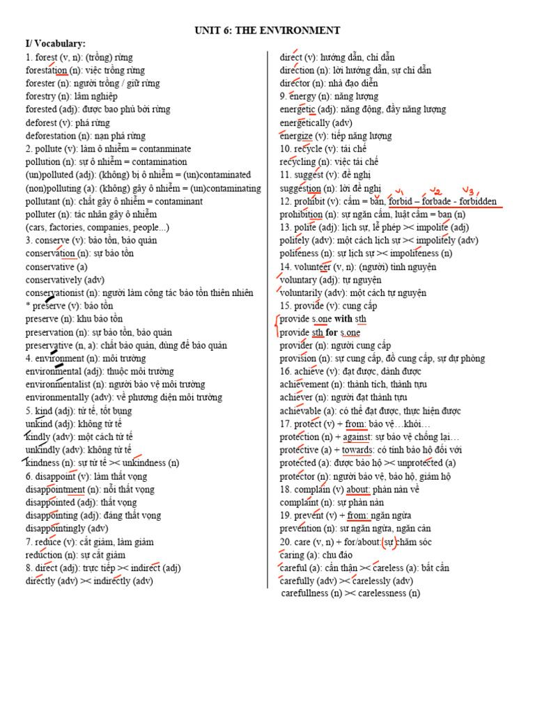 UNIT 6 The Environment | PDF