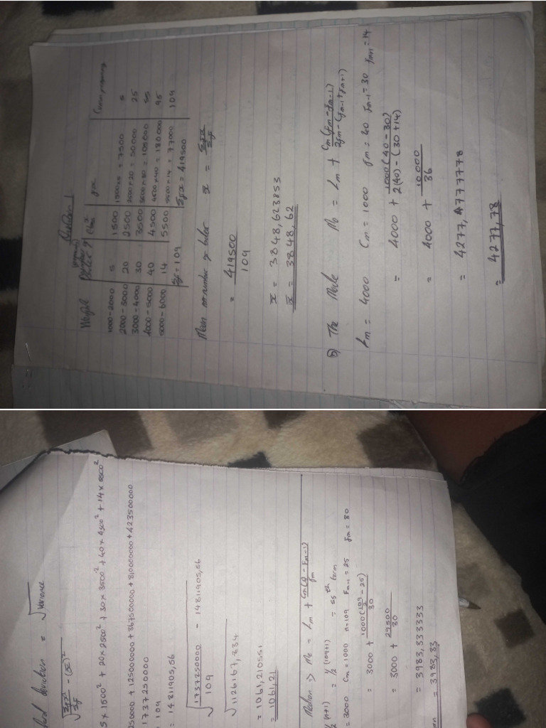 Presentation Prac | PDF