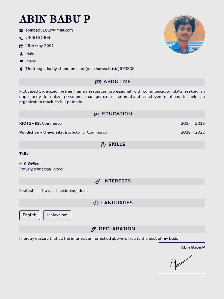 Abin Babu P Flowcv Resume 20240226 | PDF