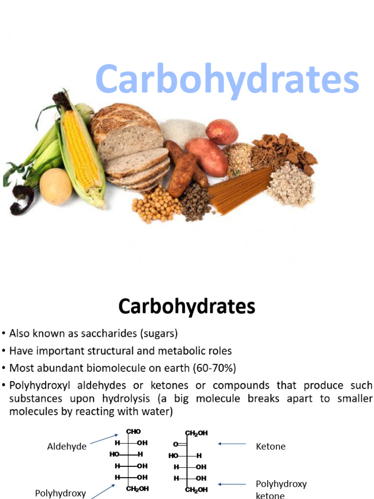 Module 6 - Carbohydrates | Download Free PDF | Carbohydrates ...