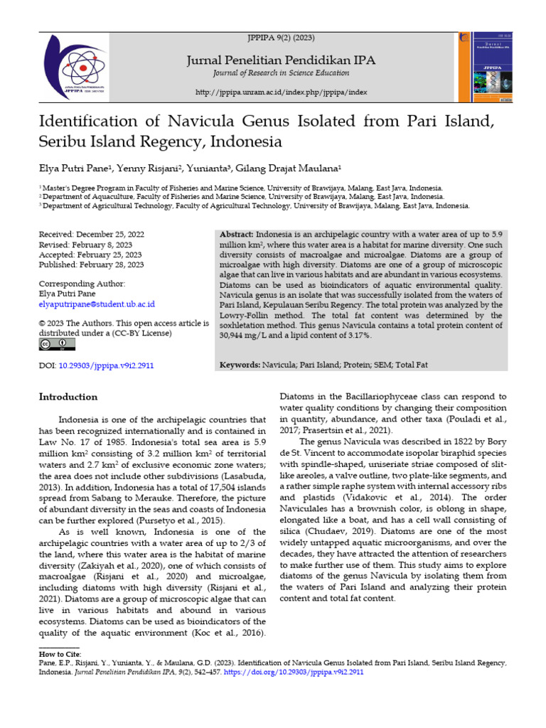 Identification of Navicula Genus Isolate | PDF