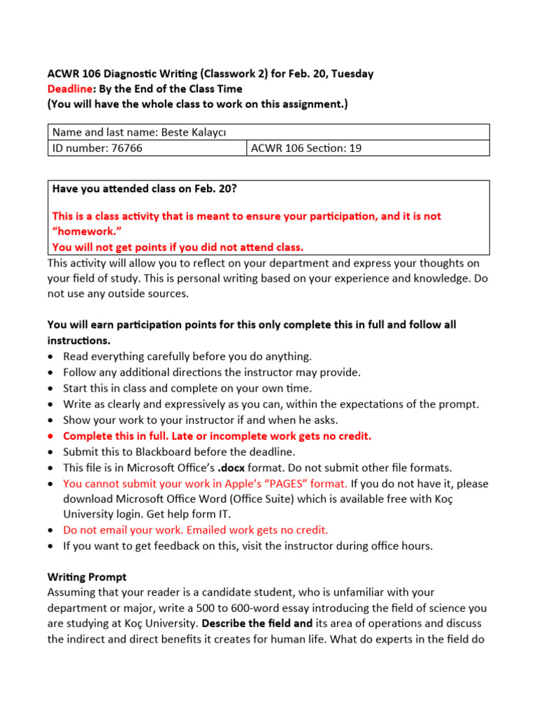 Diagnostic Writing Task | PDF | Engineering | Expert