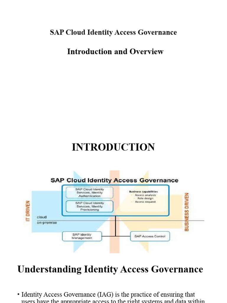SAP Cloud Identity Access Governance Overview | PDF | Cloud Computing ...