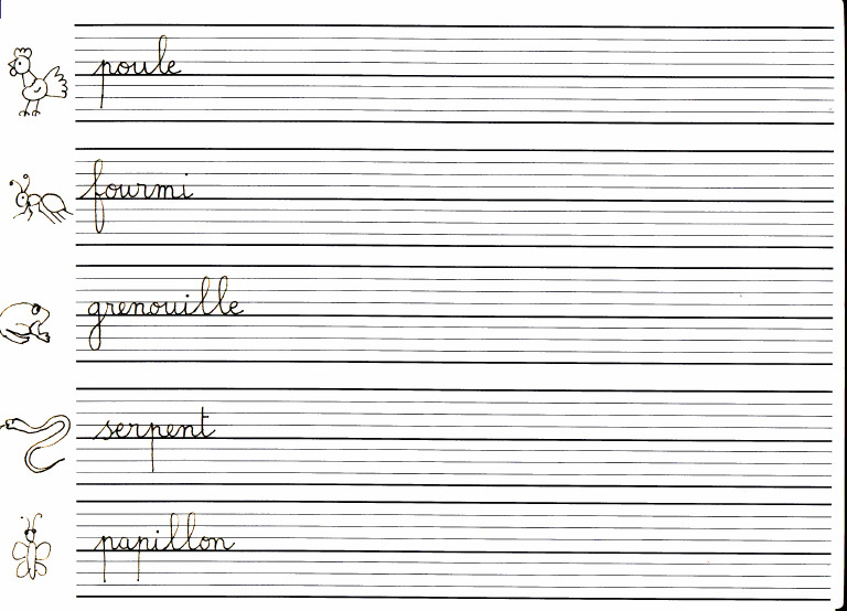 Ecriture Cursive Animaux1 | PDF