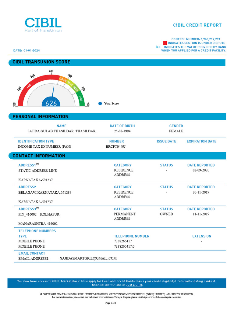 24 XXX XXX TP Cibil Report | PDF | Credit | Finance & Money Management