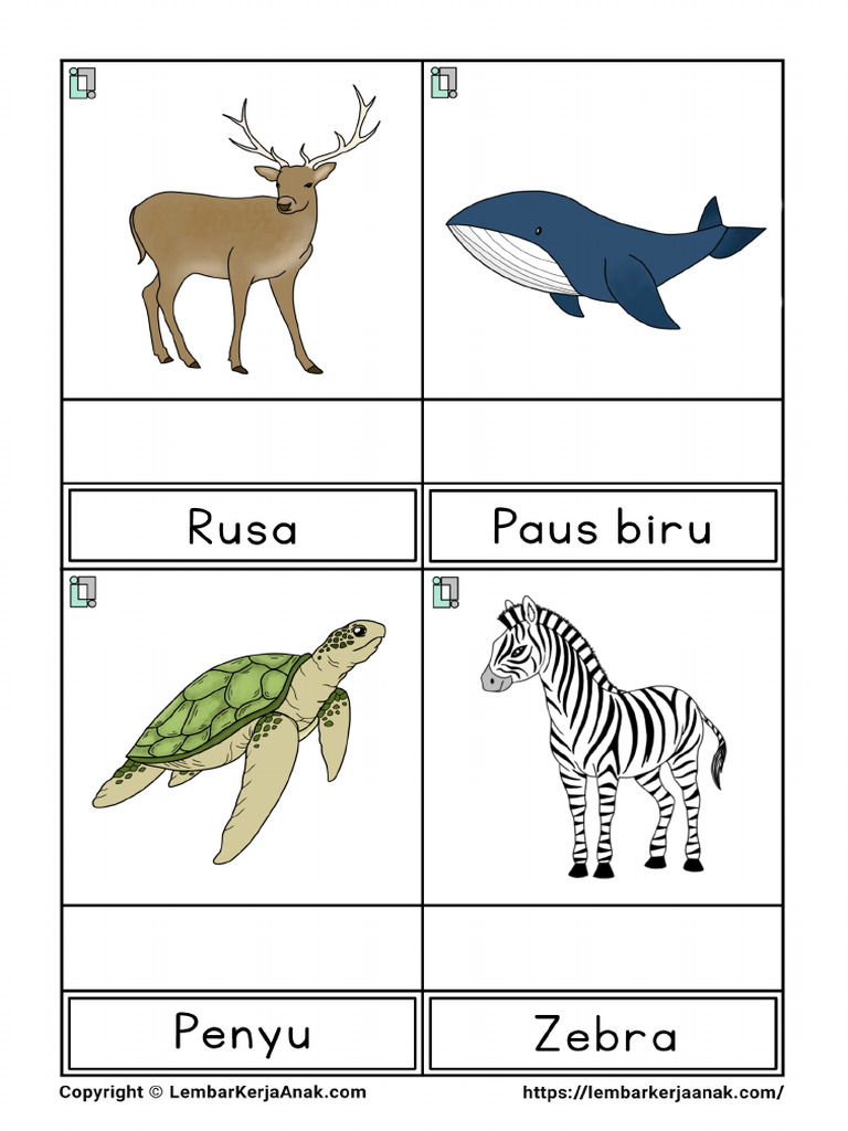 Rusa - Paus Biru - Penyu - Zebra | PDF