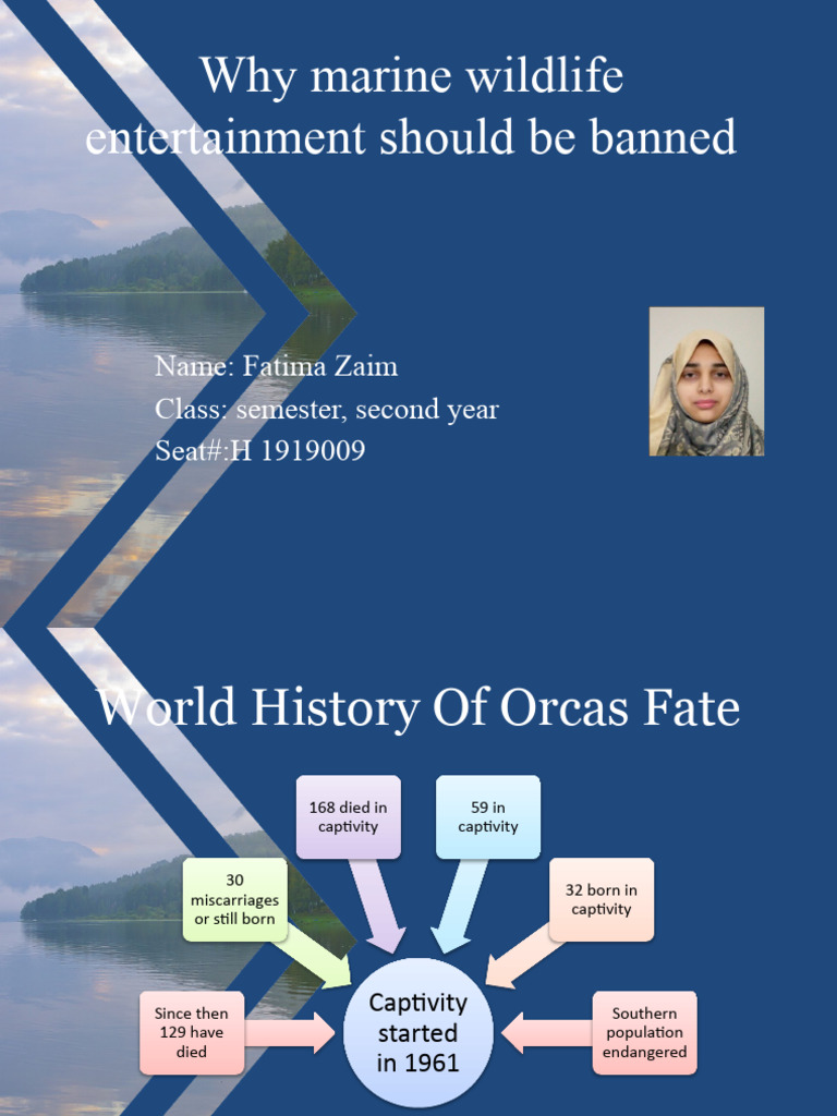 Fatima Zaim, H1919009, Power Point | PDF | Cetaceans | Toothed Whales